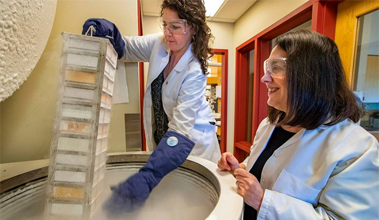 Arlene Sharpe's Science Helps Cancer Patients, And 'It Doesn't Get ...