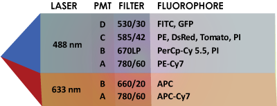 Flow Core Equipment | Immunology
